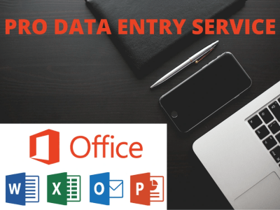 Professional data entry in MS Word, PowerPoint & Excel | Upwork