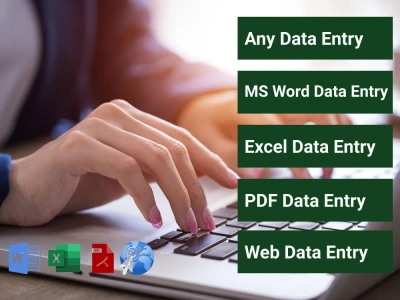 Professional Data Entry service | Upwork