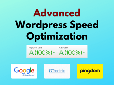Speed up WordPress Speed Optimization, Google Page Speed, Gtmetrix | Upwork