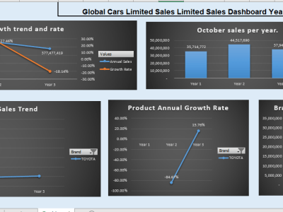 An interactive excel workbook with automated dashboard | Upwork