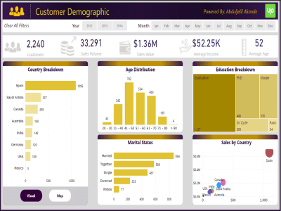 A custom Power BI report based on specifications | Upwork