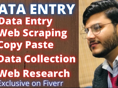 An amazing data entry for your business and fast delivery | Upwork