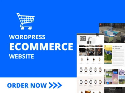A stunning ecommerce website design in wordpress | Upwork