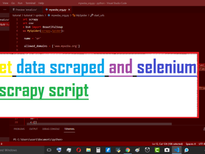 Selenium script to automate the browser | scrap website data | Upwork
