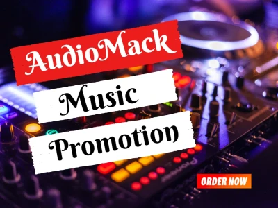 Organic audiomack promotion to premium music lovers | Upwork