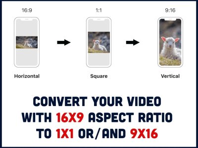 1x1 or 9x16 ratio from your 16x9 horizontal video. | Upwork