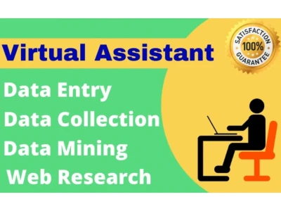 A virtual assistant for data entry, data mining, web research & copy paste | Upwork