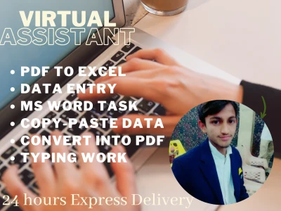 Professional virtual assistant for data entry | Upwork
