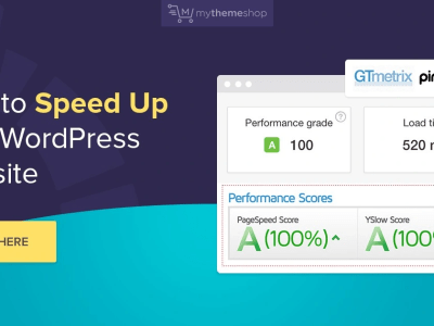 Wordpress website speed optimization for google pagespeed and gtmetrix | Upwork