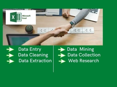 Data Entry, Cleansing, Extraction, Collection, Web Research with MS-Excel | Upwork
