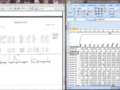 Fast and accurate data entry works done. | Upwork