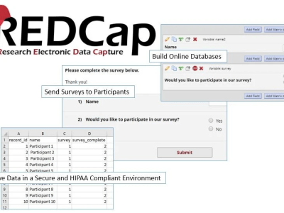 Redcap Installation and complete development | Upwork