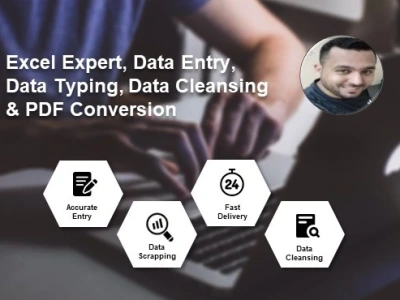 Accurate Data Entry, Dashboard, Scrapping, Mining, Typing & Formulization. | Upwork