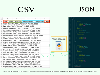 A script to convert CSV to custom JSON | Upwork