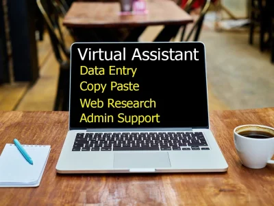 Virtual/Personal Assistant for data entry excel copy paste typing, web ...