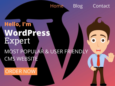 Professional, Elegant, Responsive Website | Upwork