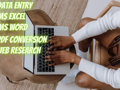 Excel data entry, copy paste, typing, pdf conversion | Upwork