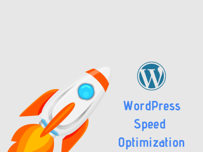 Advanced WordPress speed Optimization with Google PageSpeed Insights | Upwork