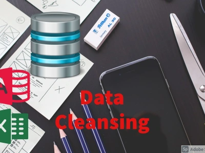 A professional data cleansing or data cleaning | Upwork