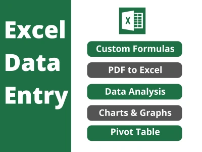 A perfect microsoft excel spreadsheet data entry work | Upwork