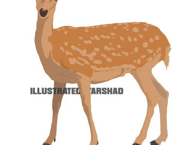 Your Raster image Traced in vector format | Upwork