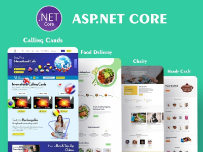 Customized ASP.NET Application | Upwork