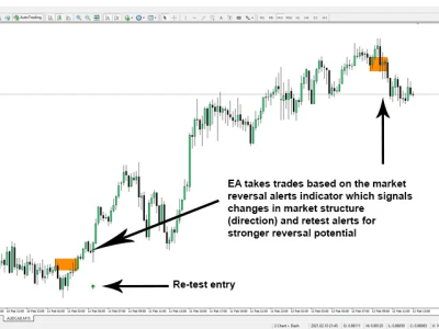 Your efficient EA algorithm for Mt4 or Tradingview | Upwork