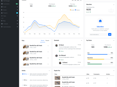Dashboard admin template for your site | Upwork
