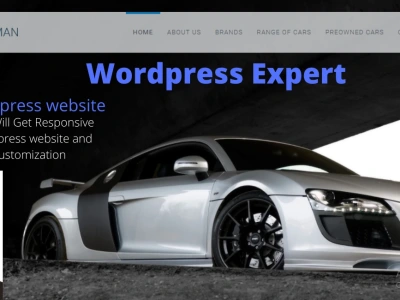 WordPress website creation , design, Theme, Development, and Customization, | Upwork