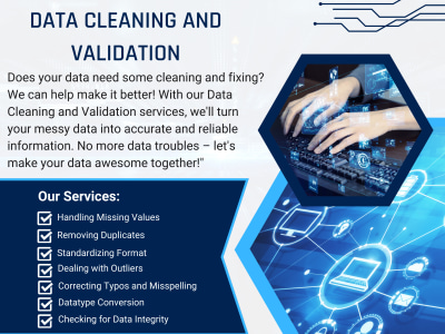 Data Cleaning and Validation | Upwork