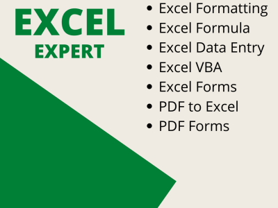 Professional Data Entry Form in Excel / Excel VBA. | Upwork