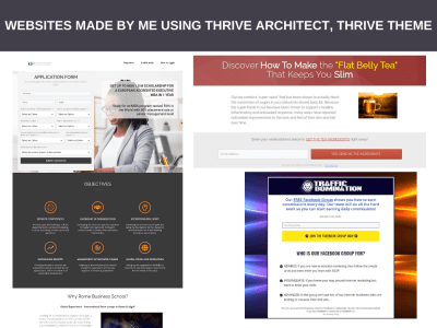 A high-converting website using thrive architect, thrive theme | Upwork