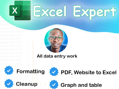 Excel data entry, cleaning and formatting service | Upwork
