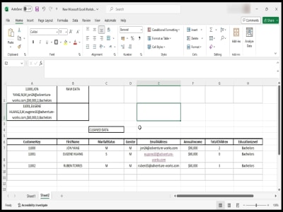 Data Cleaning,Data Formatting and Data Visualization in MS Excel | Upwork