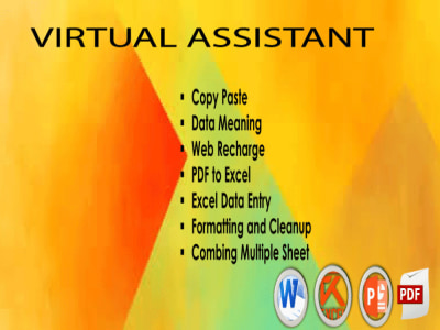 "Detail- Oriented Data Entry Professional Ready to Excel on Upwork ...