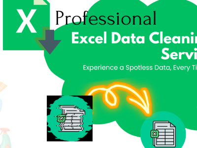 Ms excel or CSV data cleaning, formatting, organize, as Professional ...