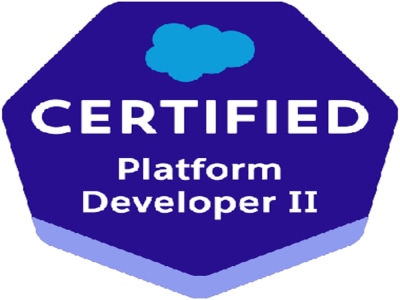 Experienced Salesforce Certified Platform Developer II | Upwork