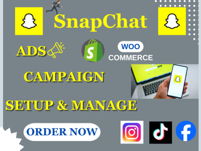 Manage snapchat ads campaign, snapchat advertising, snapchat marketing ...