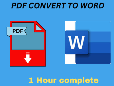 Professional PDF to Word Conversion Service | Upwork