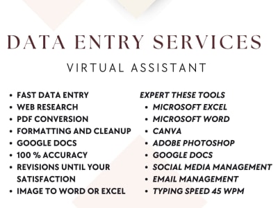Affordable Quick Data Entry, Copy Paste, Manual Typing, All type ...