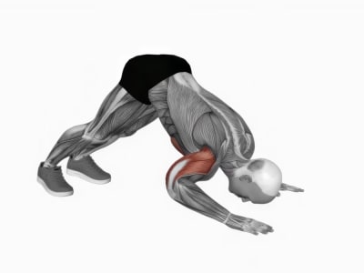 3d fitness workout animations | Upwork