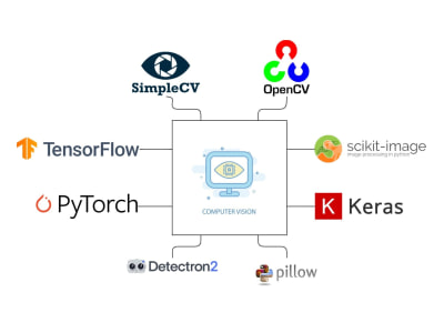 Tailored Computer Vision Solutions using SOTA Models and Techniques ...
