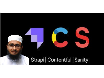 React, next.Js website with headless CMS | Starpi | Sanity | Contentful | Upwork