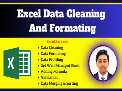 Clean excel data, validation, formating and remove duplicate data | Upwork