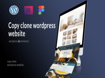 Create unique redesign copy clone wordpress website | Upwork
