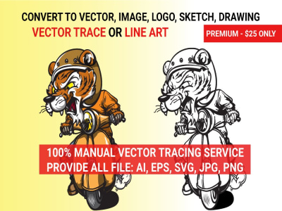 Manual vector tracing, vectorize image, convert to vector | Upwork