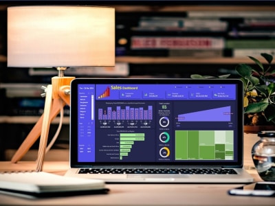 Data Visualization, Dynamic Dashboards, and Actionable Analytics | Upwork