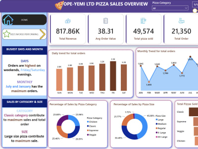 Power BI - Performance Metric Portfolio | Upwork