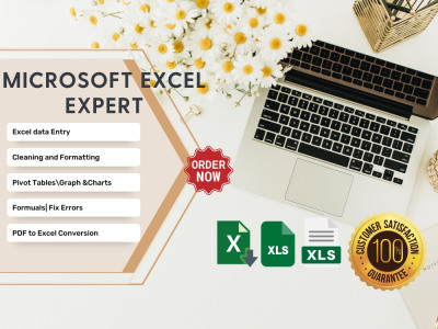 Excel data cleaning and formatting, merging, splitting, sorting, deduping | Upwork
