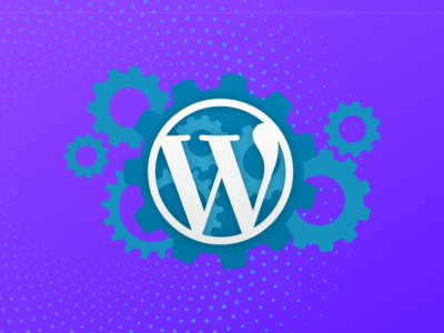 Fix wordpress errors issues and customize wordpress | Upwork